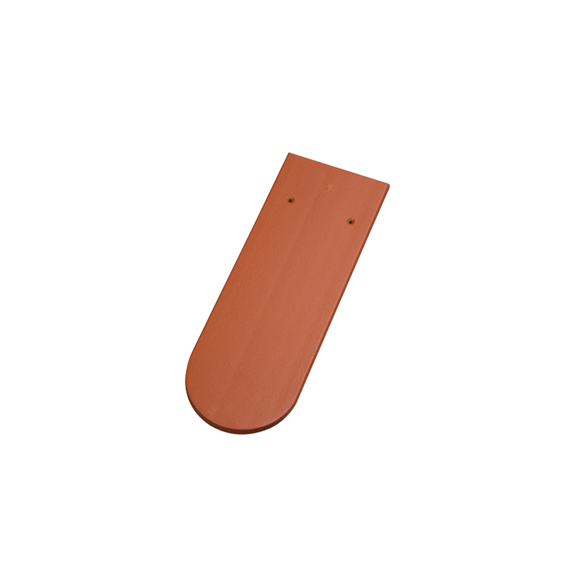 Eaves plate for covering the eaves